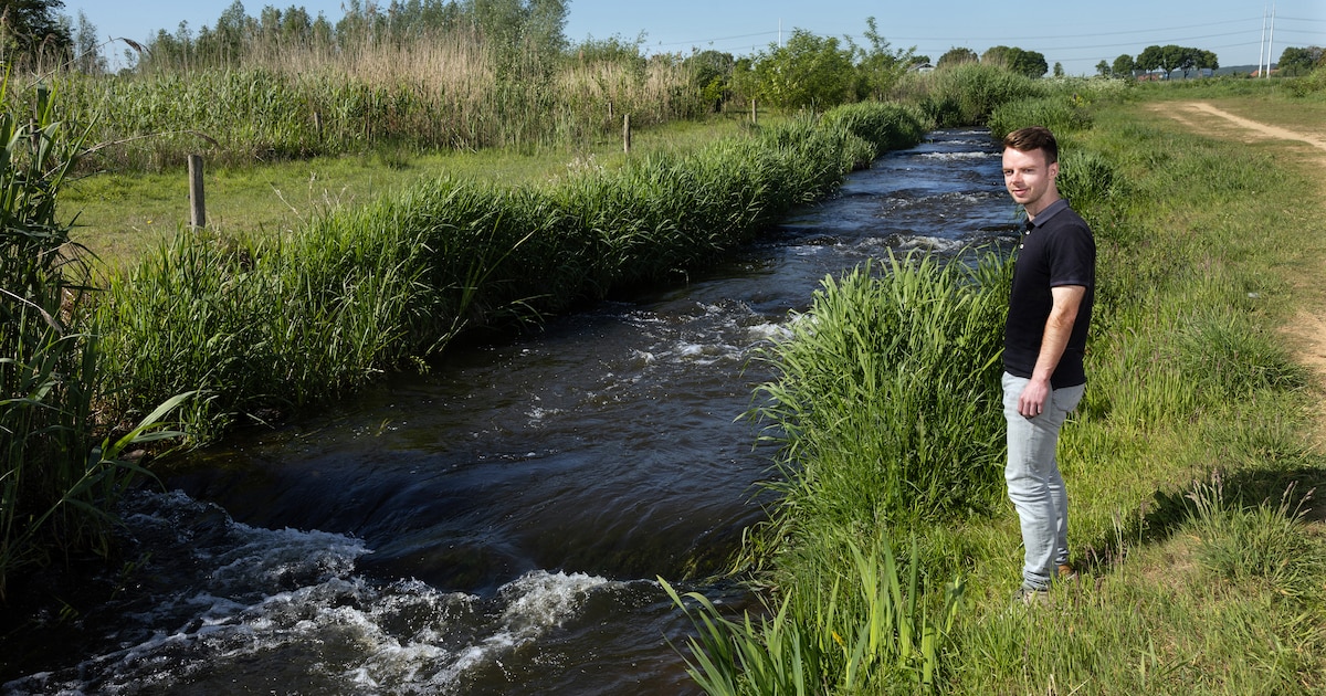 Opmars van rivierprik en toppredator meerval in Oude IJssel: ‘Mensen ...