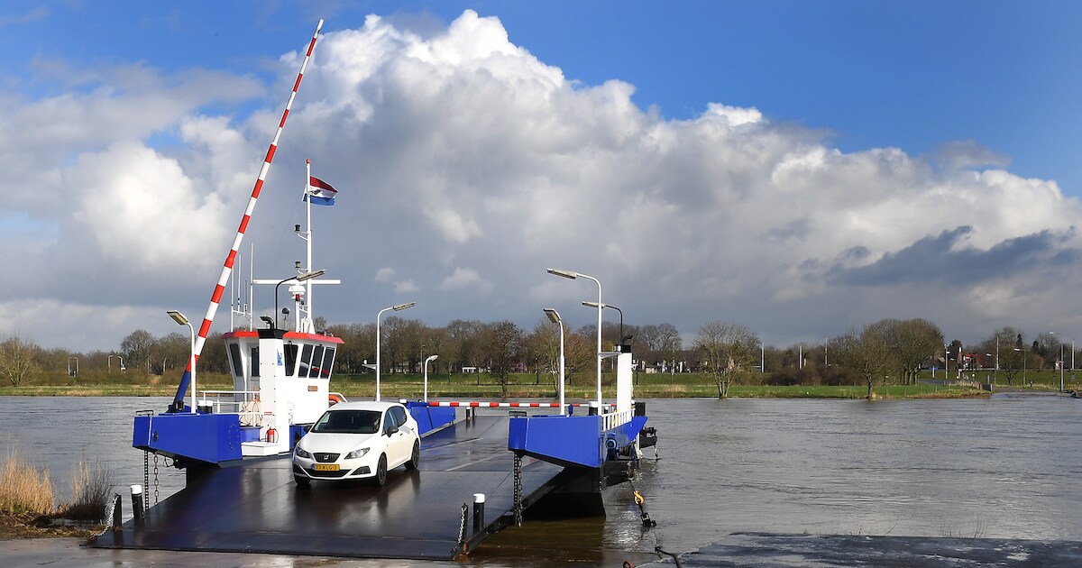 Volhoudertje, met dank aan de Sambeekse stuw | Maasland | De ...