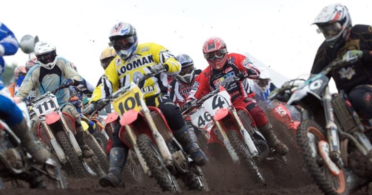 Historische titel voor Looman | Overig | De Gelderlander.nl