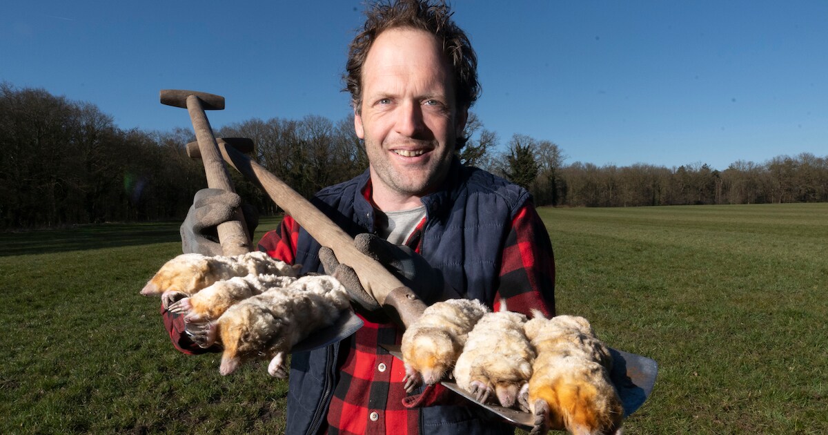 Elbert kan niet geloven wat hij in zijn mollenklemmen vindt: ‘Zoveel ...