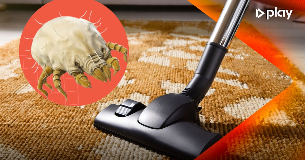 Een stofvrij huis is onmogelijk: waarom is je huis altijd weer stoffig ...