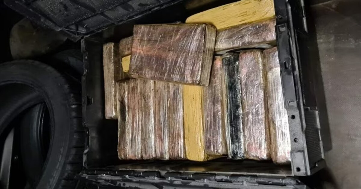Smokkel van 423 kilo cocaïne komt Utrechter (54) op acht jaar cel te ...