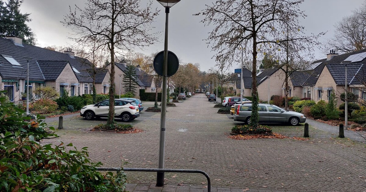Man (32) opgepakt na vernielen voordeur en poging tot inbraak in ...