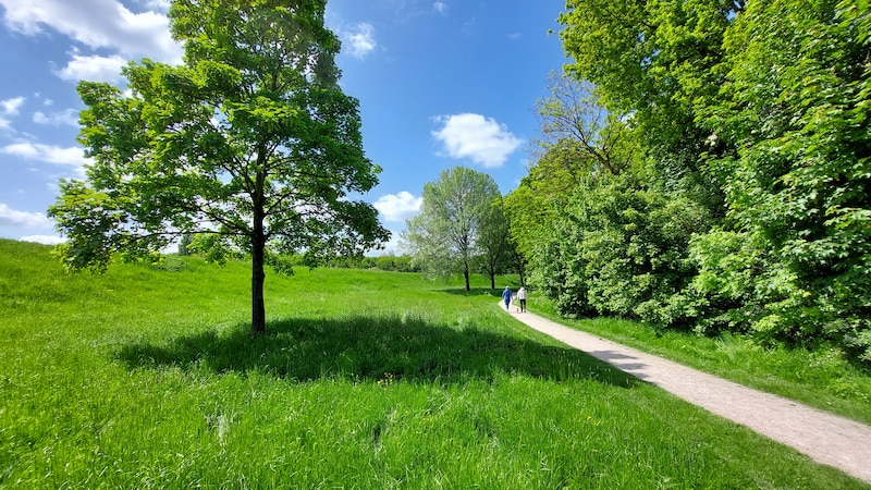 Miljoen euro voor natuur in Arnhem-Zuid; bescherming voor historisch ...
