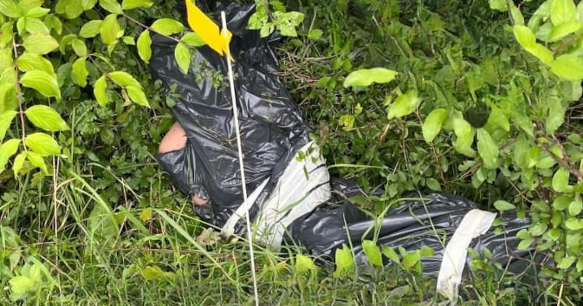 ‘Lijk’ in de sloot in Bredase woonwijk? Agenten ontdekken dat het iets ...