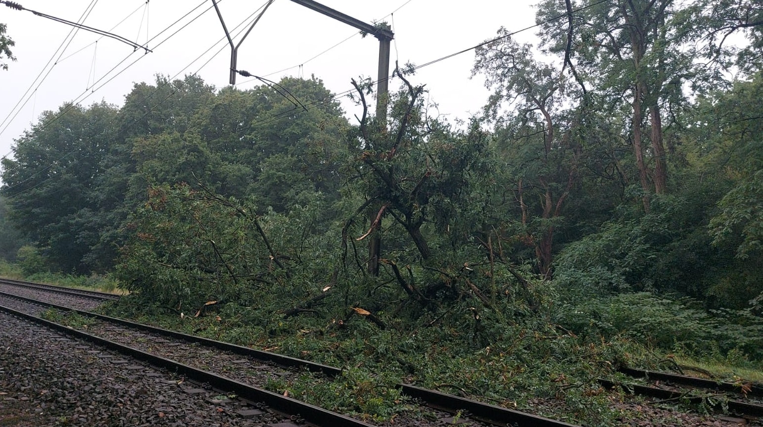Ochtend lang problemen tussen Utrecht en Arnhem door boom op het spoor ...