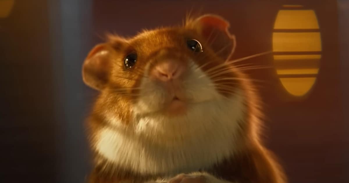Ik kan de reclametaferelen rond kerst op tv niet loskoppelen van de ...