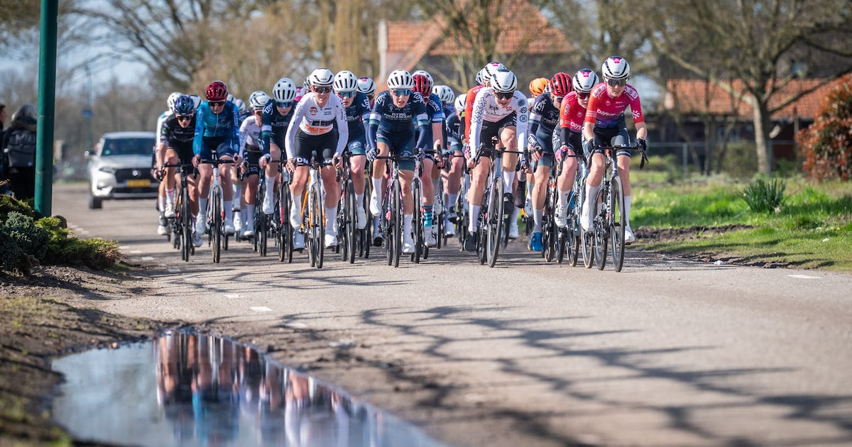 Boskamp klopt het complete peloton in Oploo, Noorloos grijpt de eerste ...