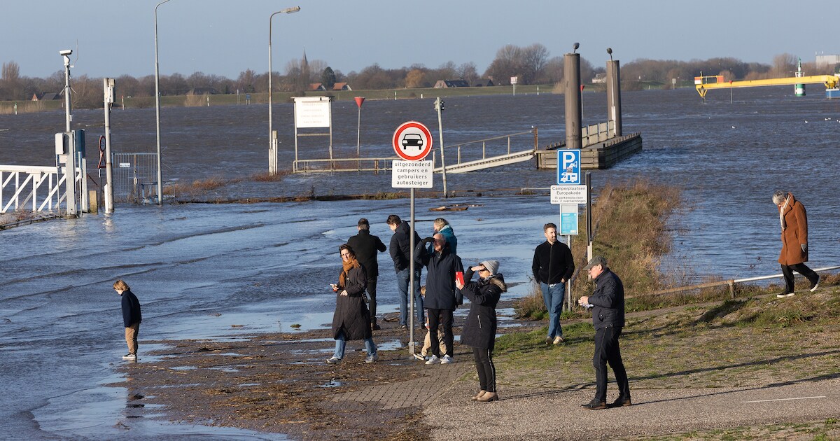Genieten van hoogwater in Tolkamer: ‘Het komt nog hoger deze week ...