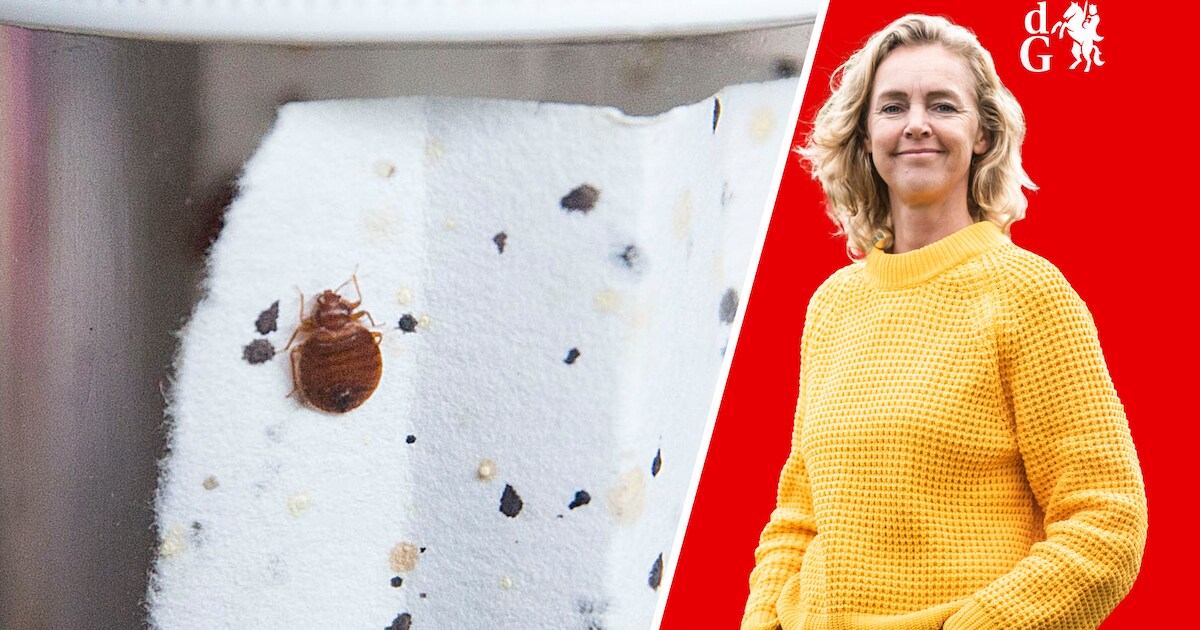 Ik keek toe hoe hij de planken losschroefde, wachtend op de aanblik van ...