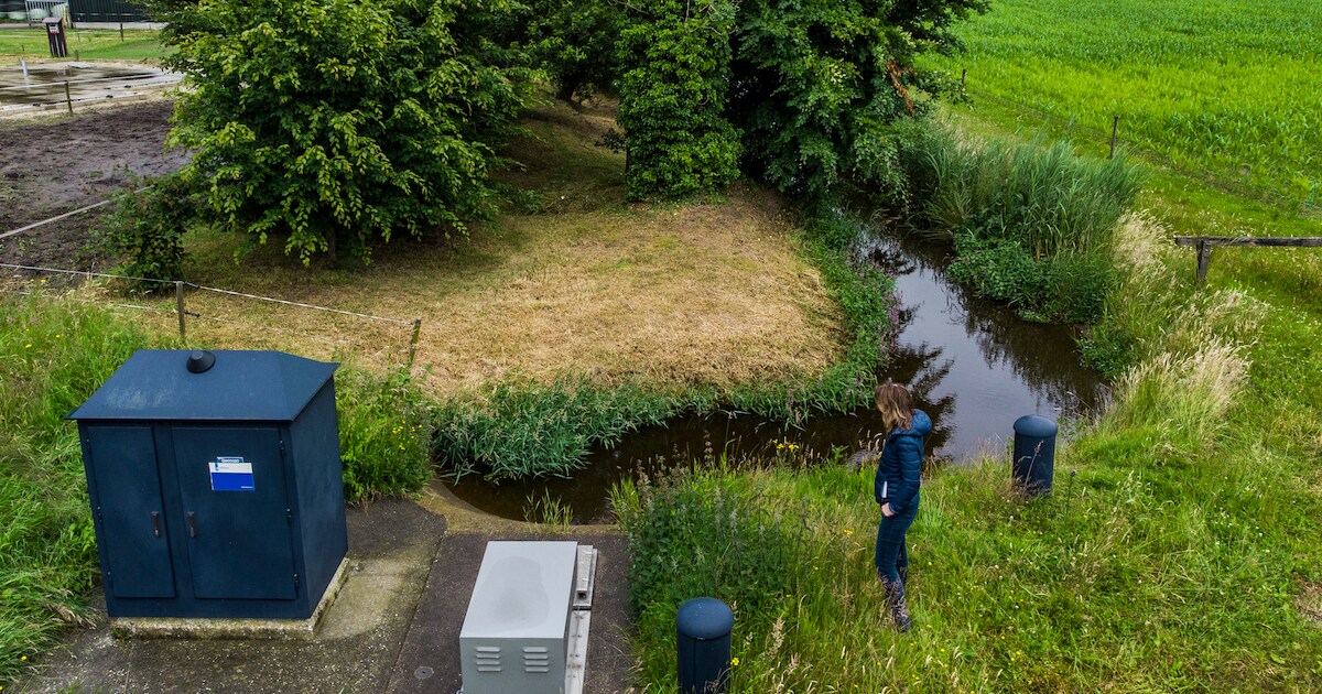 Giftige stoffen in het water? ‘Natuur moet het oplossen’ | Enschede ...