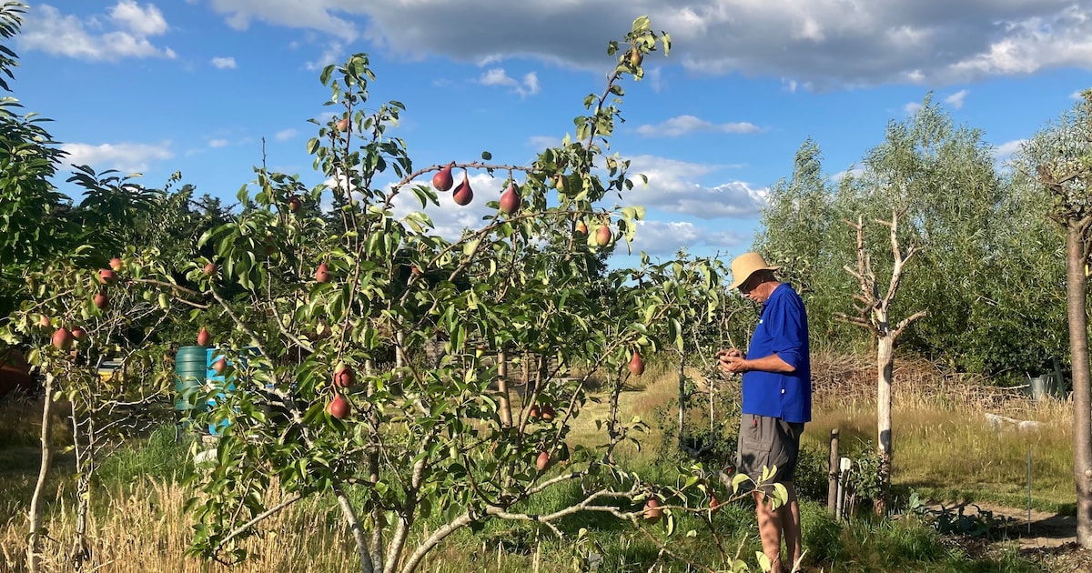 Biodiversiteitsambassadeur opent erf in Heumen voor inspiratiedag ...