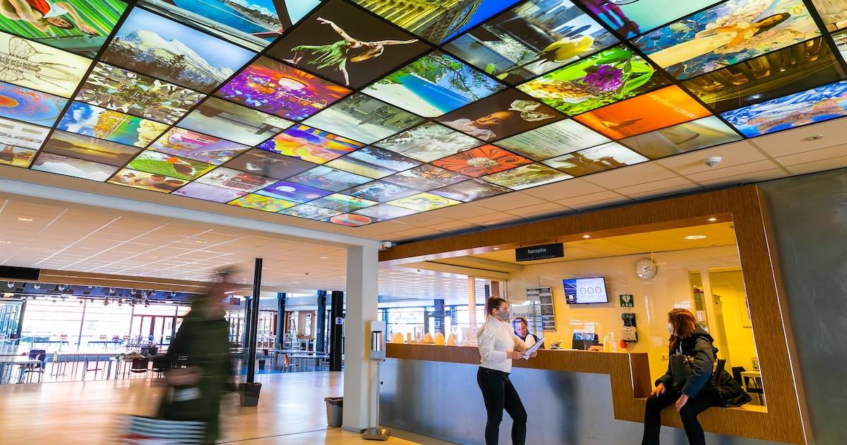 Rector uit Duiven ‘rijdt van de ene file in de andere, het is niet meer ...