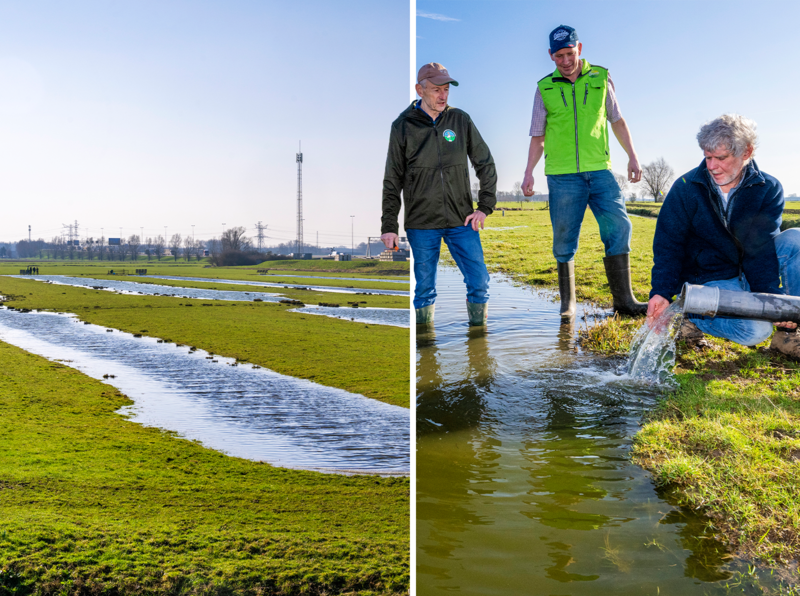 Boer Eric zet zijn weiland van 5 hectare expres onder water: goed voor ...