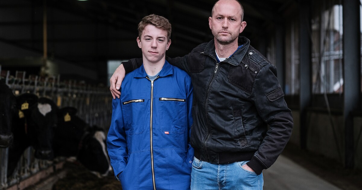 Boer Beulink koos voor koeien, nu dreigt faillissement: ‘Wij hebben ...