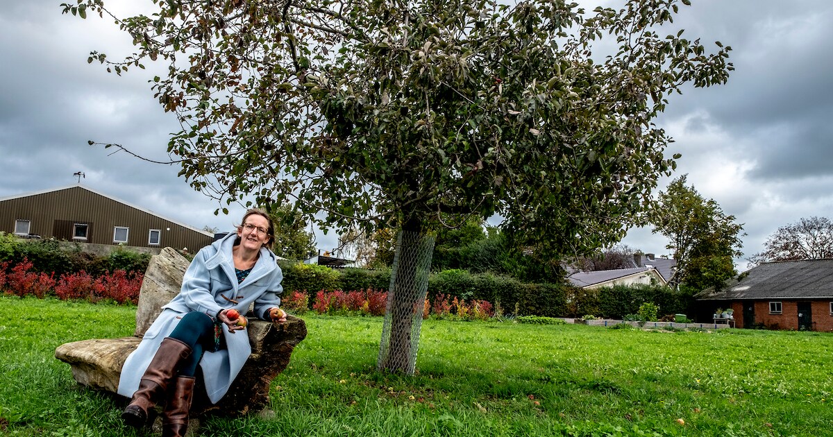 Jo de Haan rust al 14 jaar in eigen grond in Groesbeek; ‘Ik wil als ...