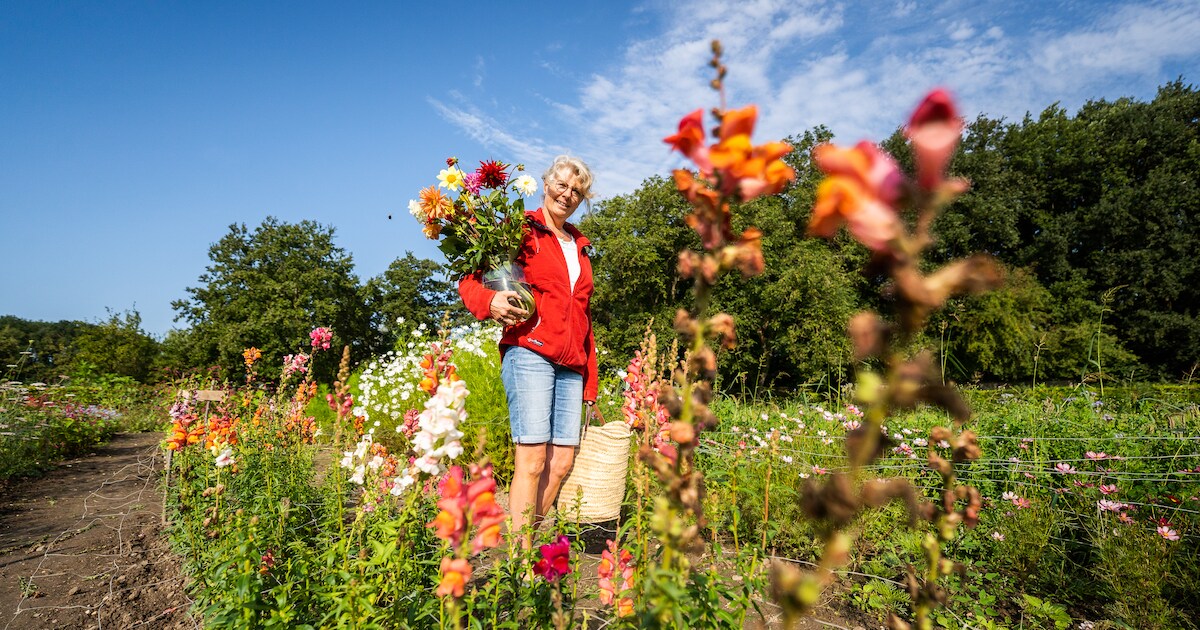 Pluktuin Hemmen is voor Wilma (54) droom die uitkomt: ‘Had dit niet ...