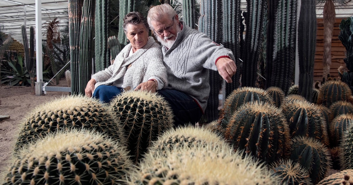 Anny zielsgelukkig met nieuwe stek in Burgers’ Zoo en botanische tuin ...