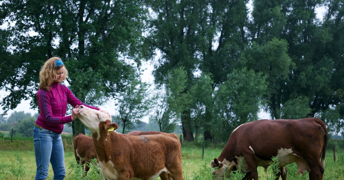 Met kinderen de bossen in? Nee, taaloefeningen doen! | Ellen Willems ...