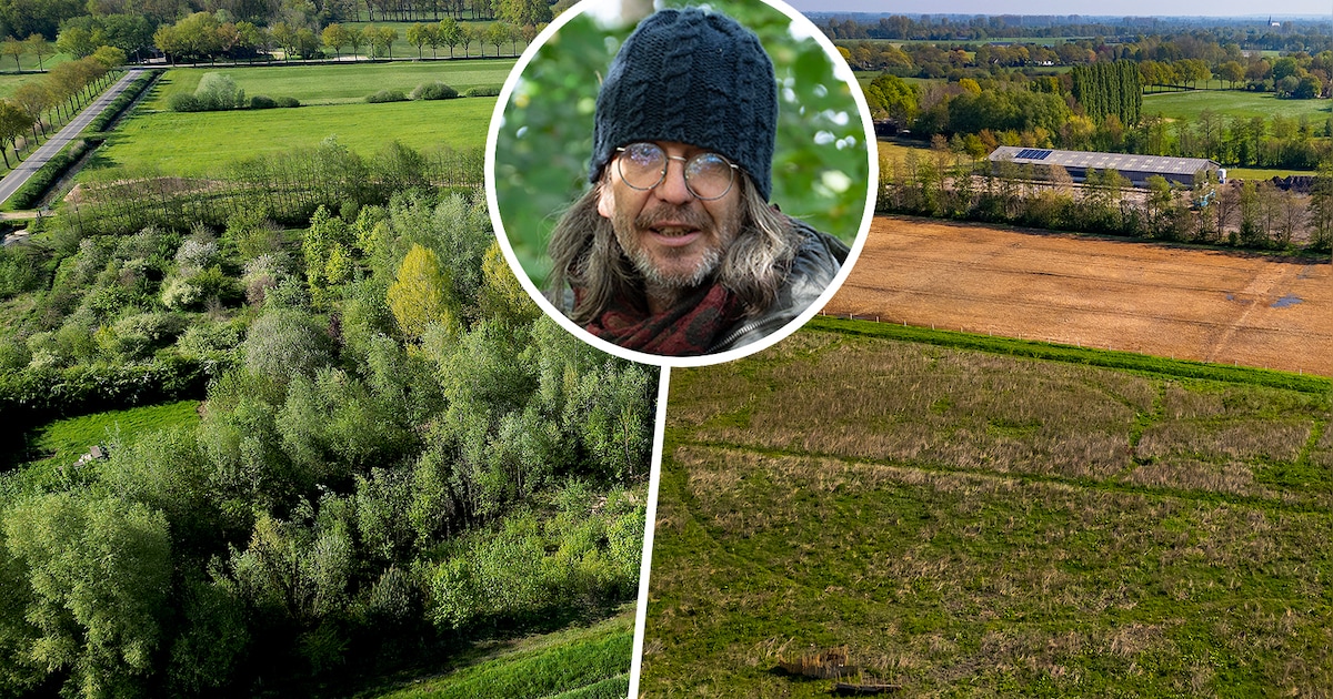 Door topkoks bejubeld beroemd voedselbos in de buurt van fel oranje ...