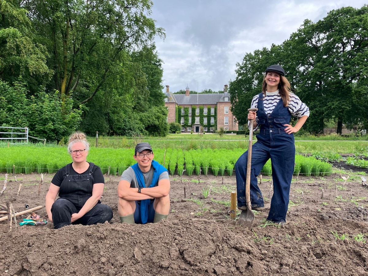 Van kimchi tot vlas: dit trio brengt het veld bij Slot Zuilen tot bloei ...