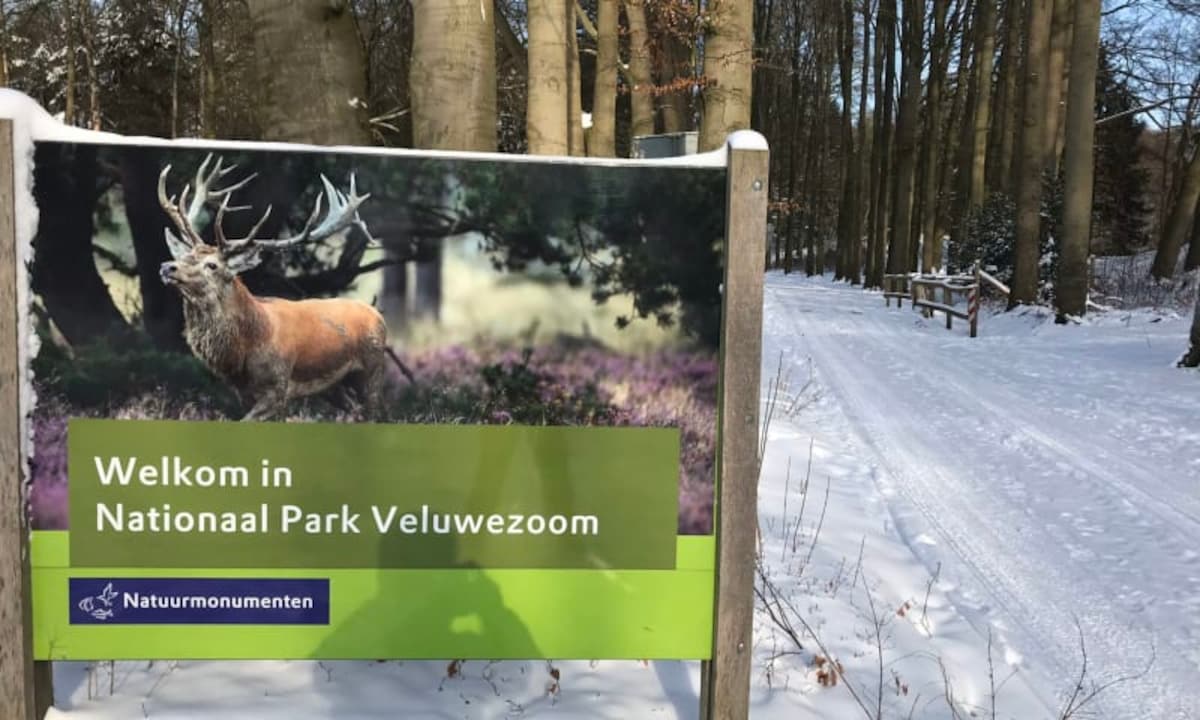 Wandeling met gids door Veluwezoom | Arnhem | De Gelderlander.nl