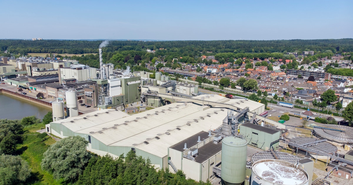 Beslissing over staking bij Parenco uitgesteld, papierfabriek en ...