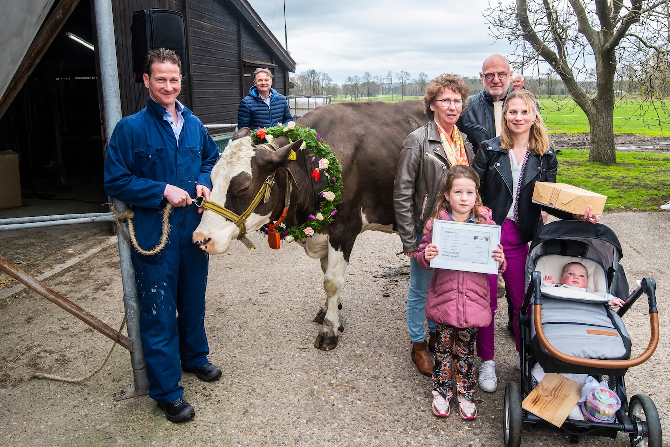 Oma Koe is al op leeftijd, maar produceert nog altijd 33 liter melk per ...