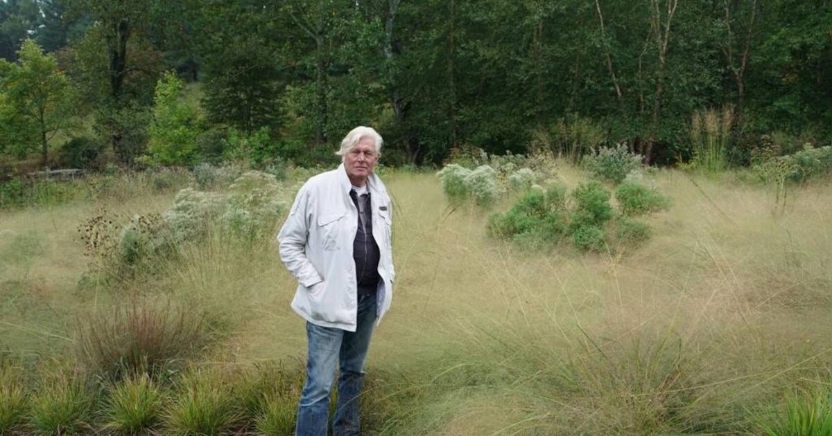 Tekeningen en speelgoed van Piet Oudolf te zien in Doetinchem | Home ...