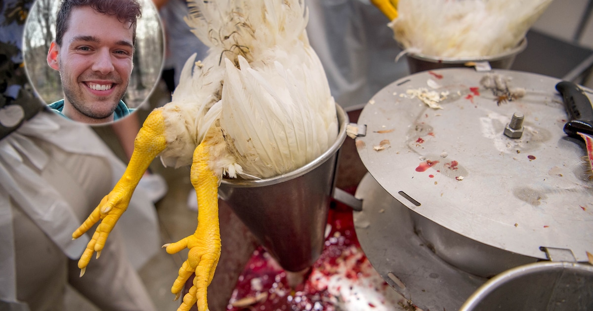 Kip eten bij dit restaurant? Alleen als je ’m zelf eerst helpt slachten ...
