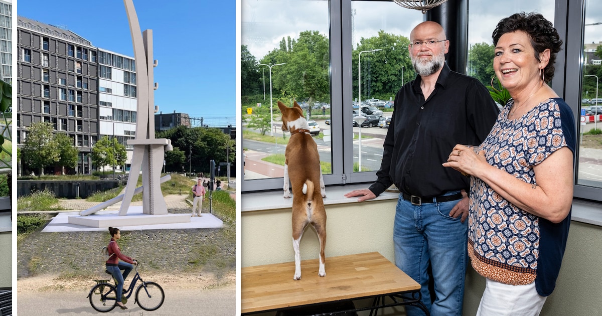 Ophef om 10 meter hoog kunstwerk voor flat in Nijmegen: ‘Wie haalt dit ...
