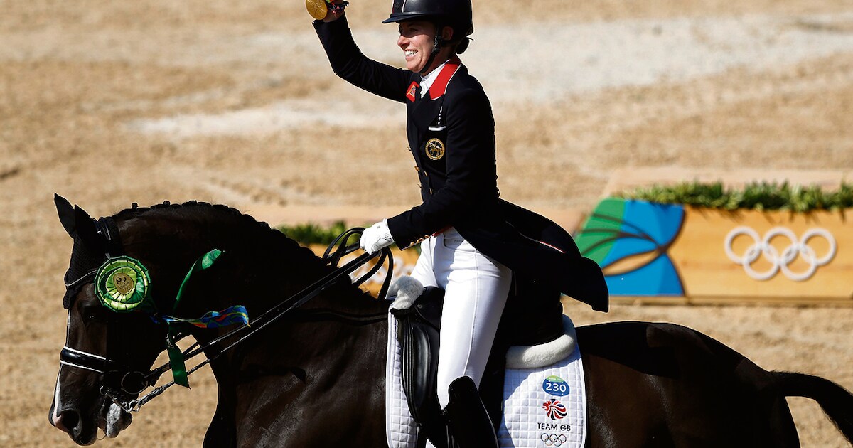 Dodelijke genetische afwijking schokt Nederlandse paardenwereld ...