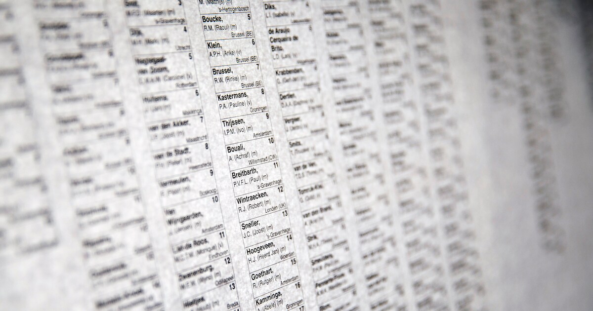 Kiezen in het stemhokje tussen oude bekenden en een fris geluid ...