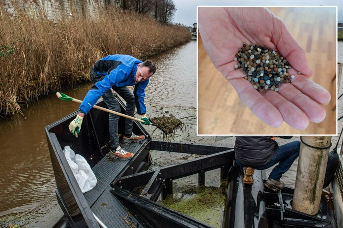 Alarm over duizenden plastic korrels in Bredaas water, mogelijk sprake ...