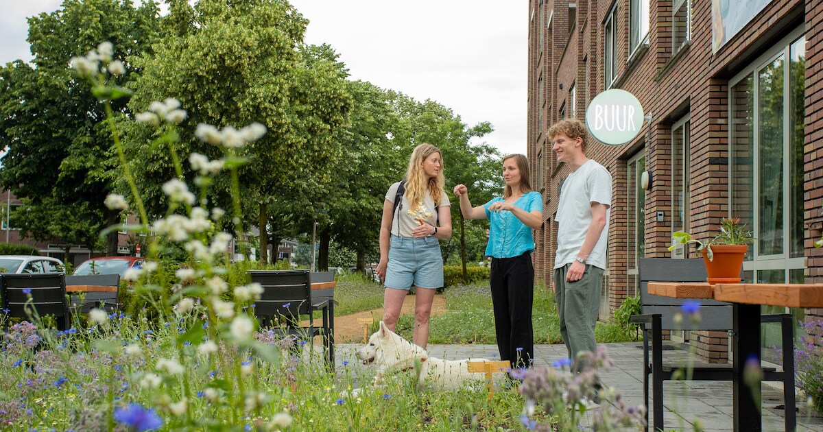 De gieterdienst kan deze week op een iets lager pitje in de ...