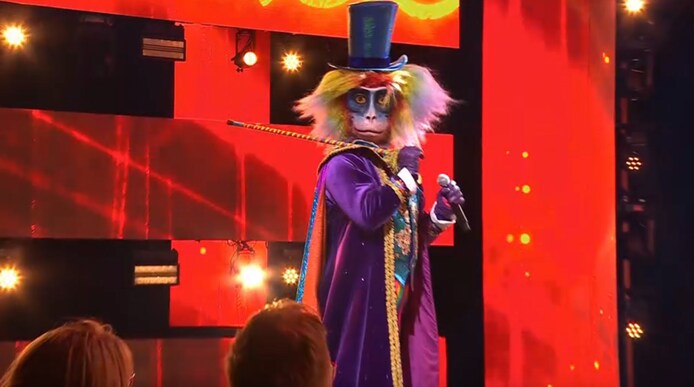 Alle hints voor finale The masked singer op een rijtje: wie schuilen er ...