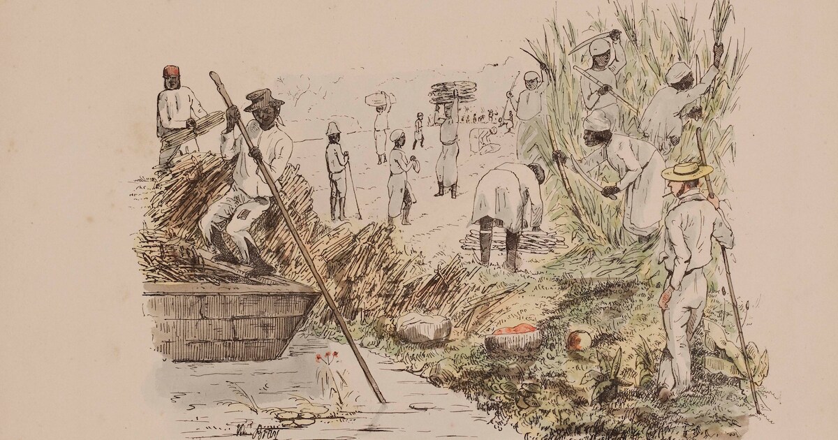 Quaco in Rozendaal, landhuizen voor plantagebazen : dit zijn de sporen ...