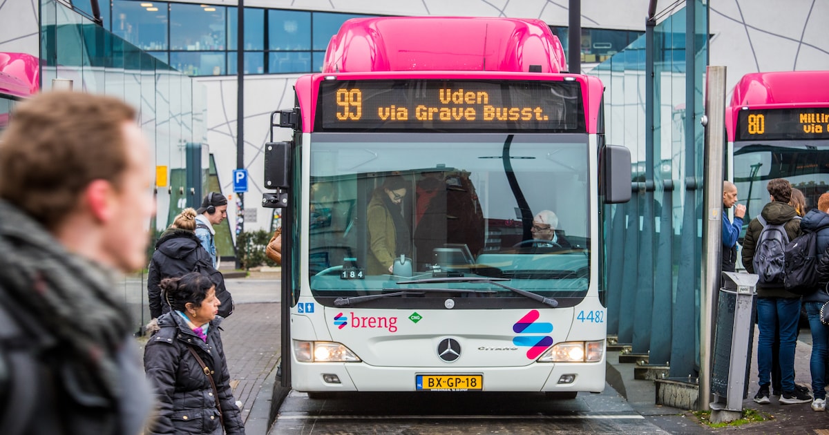 Met de bus? Het kan maar zo dat je gratis reist door storing bij ...