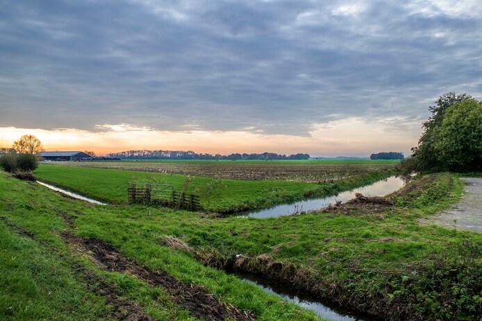 Wel of niet vóór 2035 woningen bouwen in de polder Rijnenburg ...