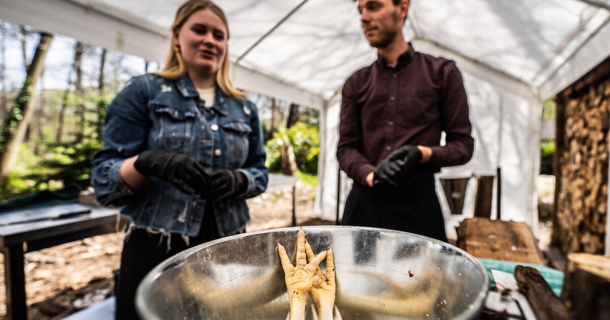 Kok van restaurant waar je eigen kip moet slachten blij met discussie ...