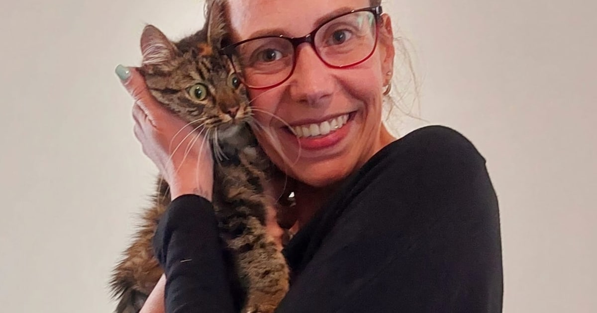 Vermiste kat na vijf weken weer terecht, maar dan wel op een hele ...