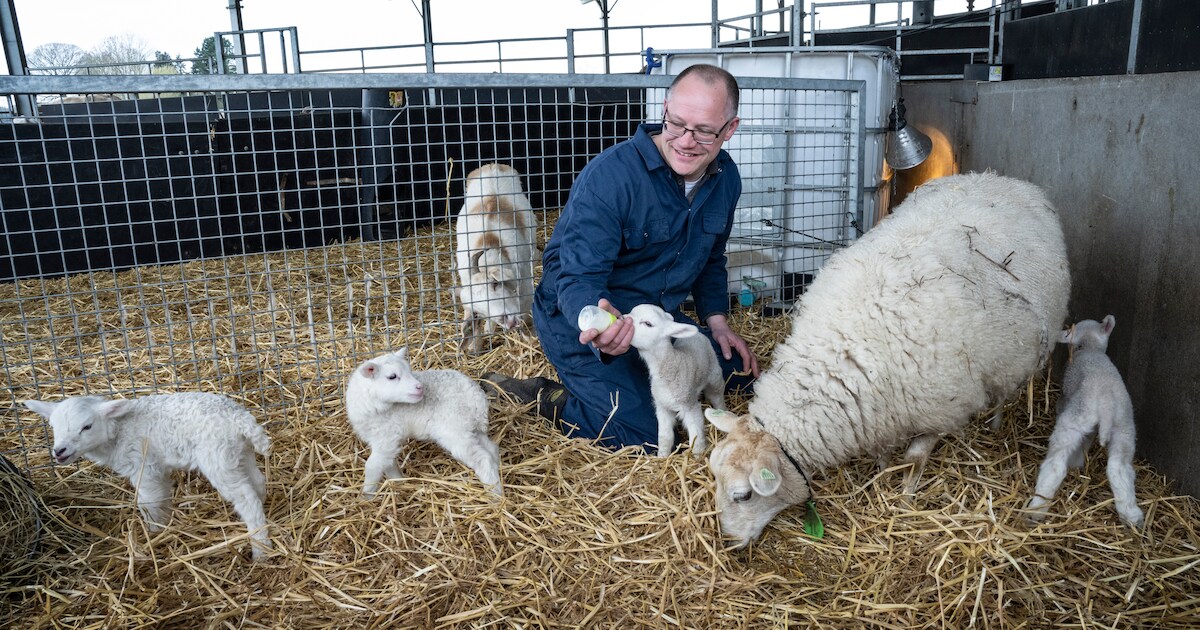 Lente in Malden: Rambo en vrouw krijgen vier dochters | Heumen | De ...