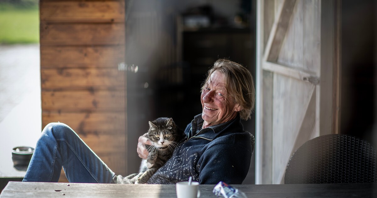 Rock & Blues Tussen de Dijken wil succesformule ‘knus’ houden ...