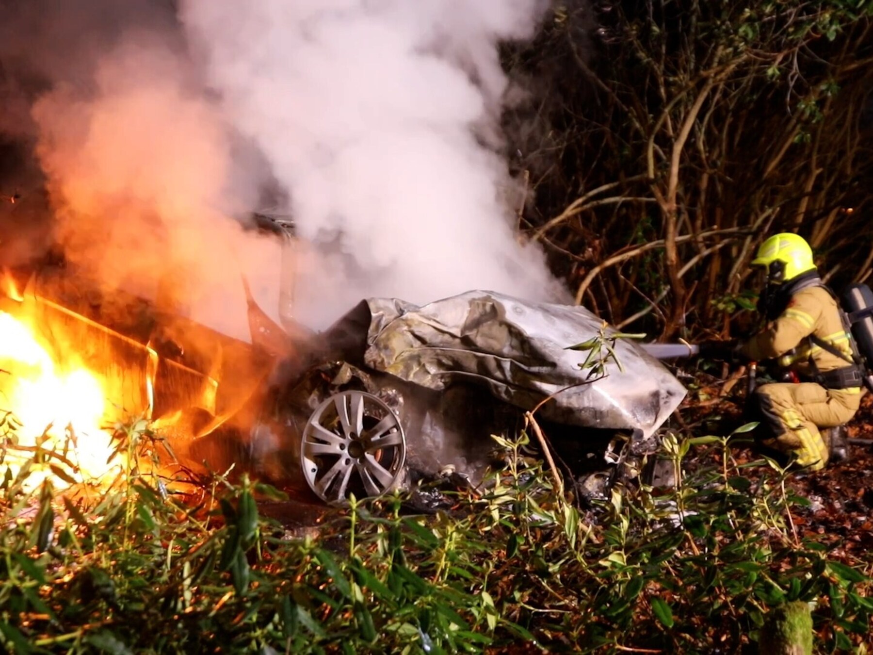 Open dag bij stichting Dier en Project in Nispen | Uit-tips Brabant ...