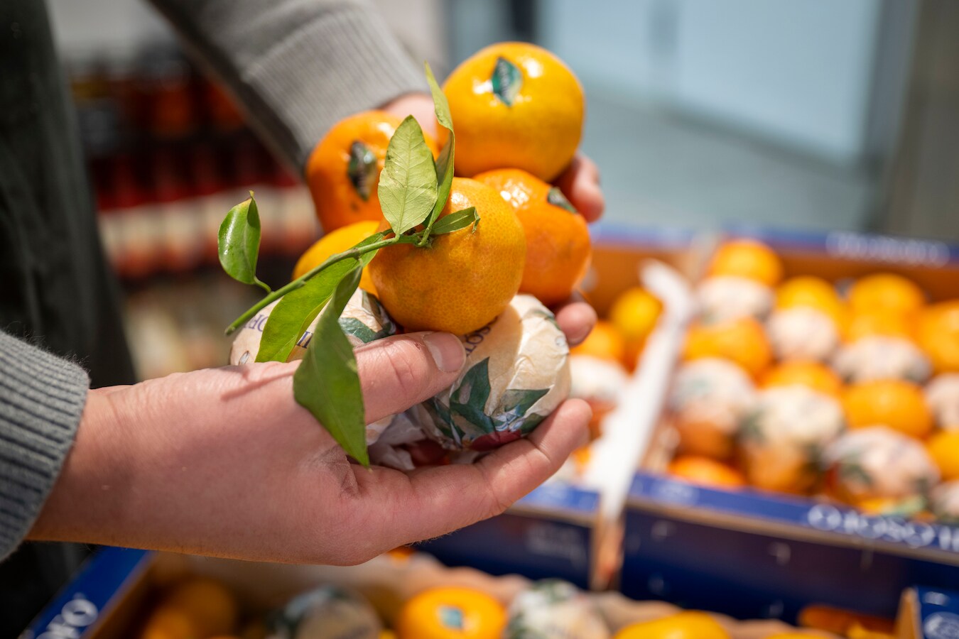 Waarom zit er toch zo'n groot verschil tussen mandarijnen? 'In de zomer ...