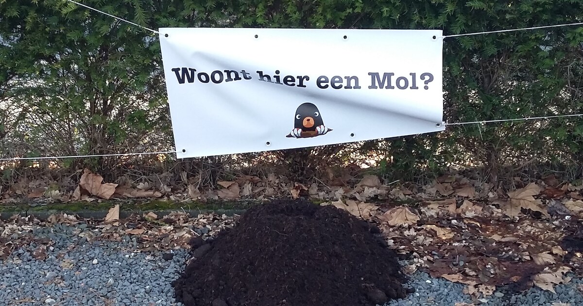 Molshoop voor woning van 'mol' Jochem van Gelder | Regio | De ...