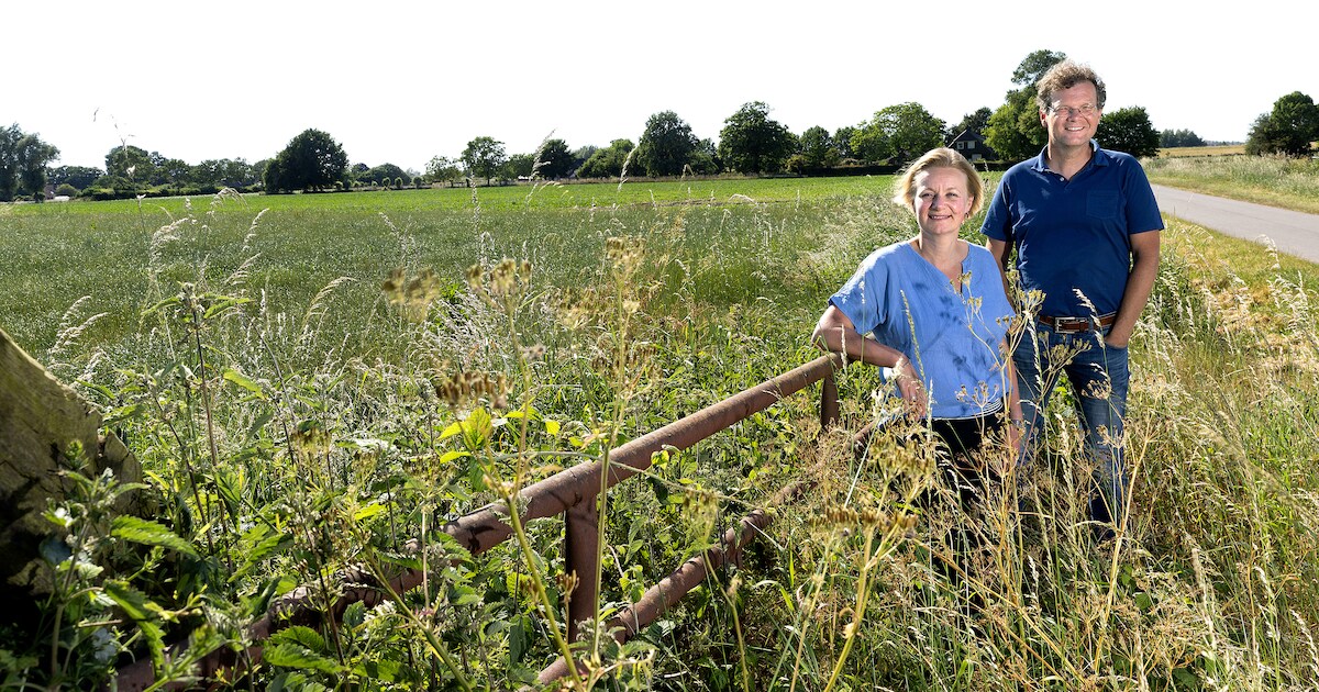 Bewoners buitengebied vrezen zee van zonnepanelen en willen scherpere ...