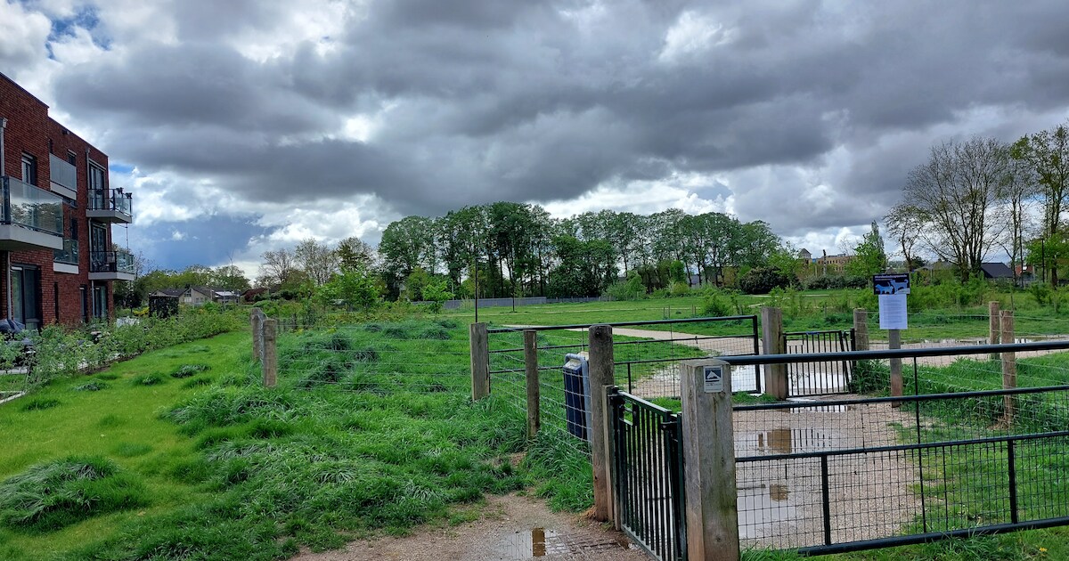 Licht aan de horizon voor uiteengereten basisschool Hogenkamp ...
