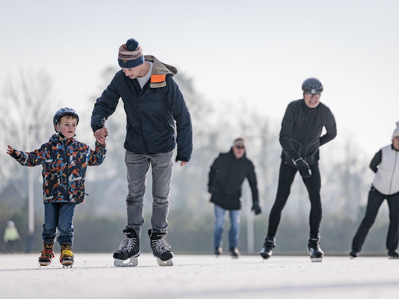 Kreupele koeien in ramvolle stallen: schokkende beelden met verborgen ...