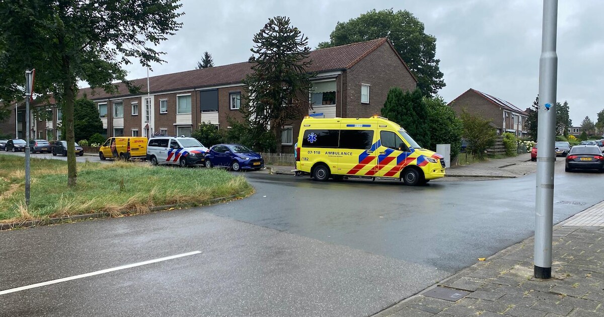 Fietser aangereden door bezorgbusje in Ede | Regio | De Gelderlander.nl